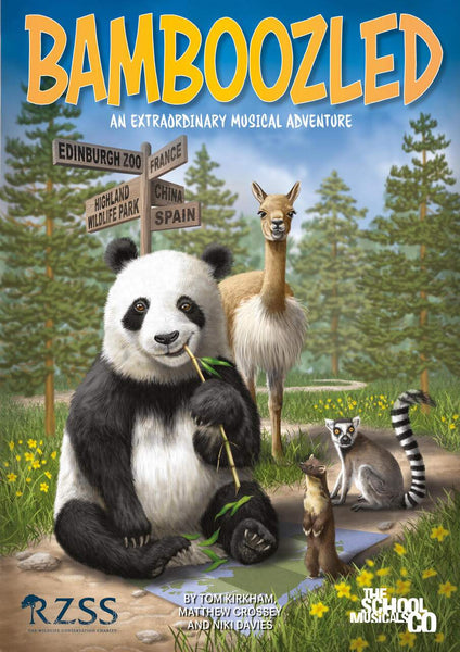 Bamboozled An Extraordinary Musical Adventure